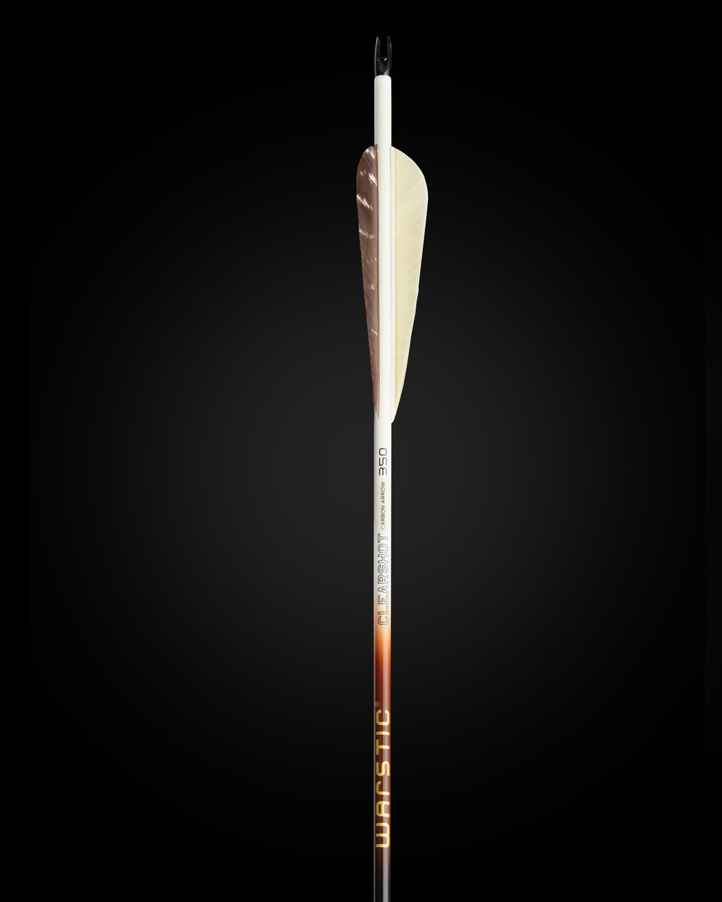 LTD EDITION CLEARSHOT CARBON ARROW – Warstic